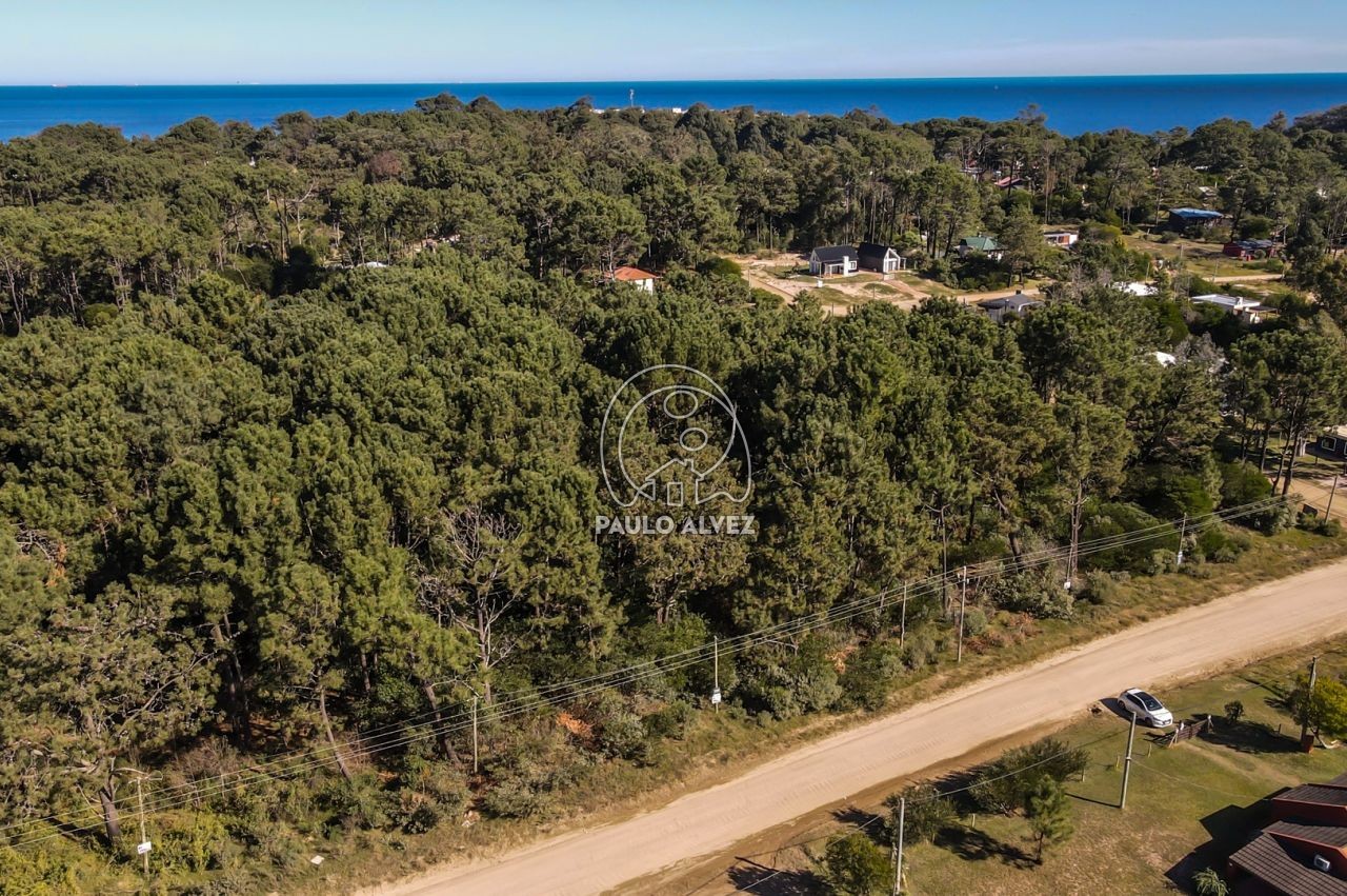 Te611 / Maldonado - Punta Colorada / Venta