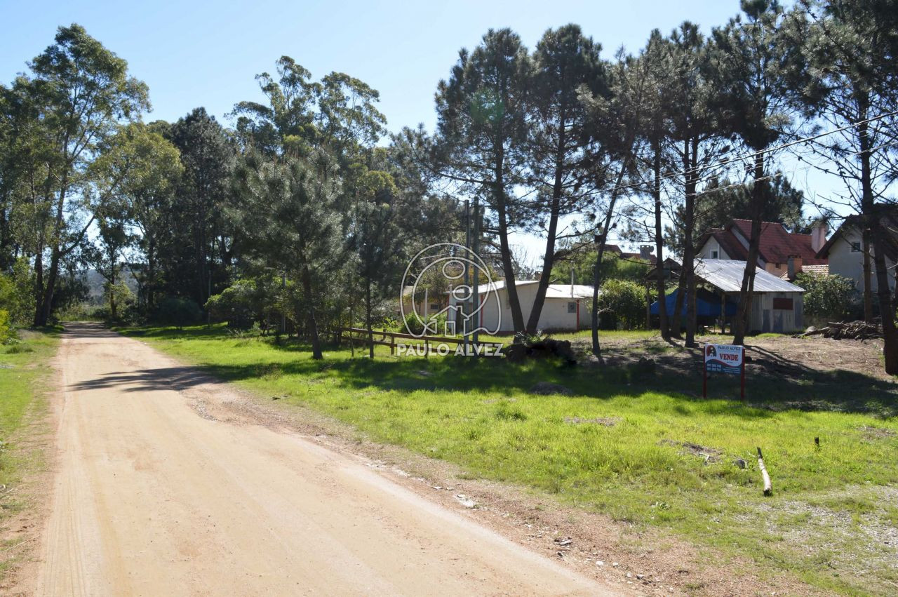 Te729 / Maldonado - Punta Colorada / Venta